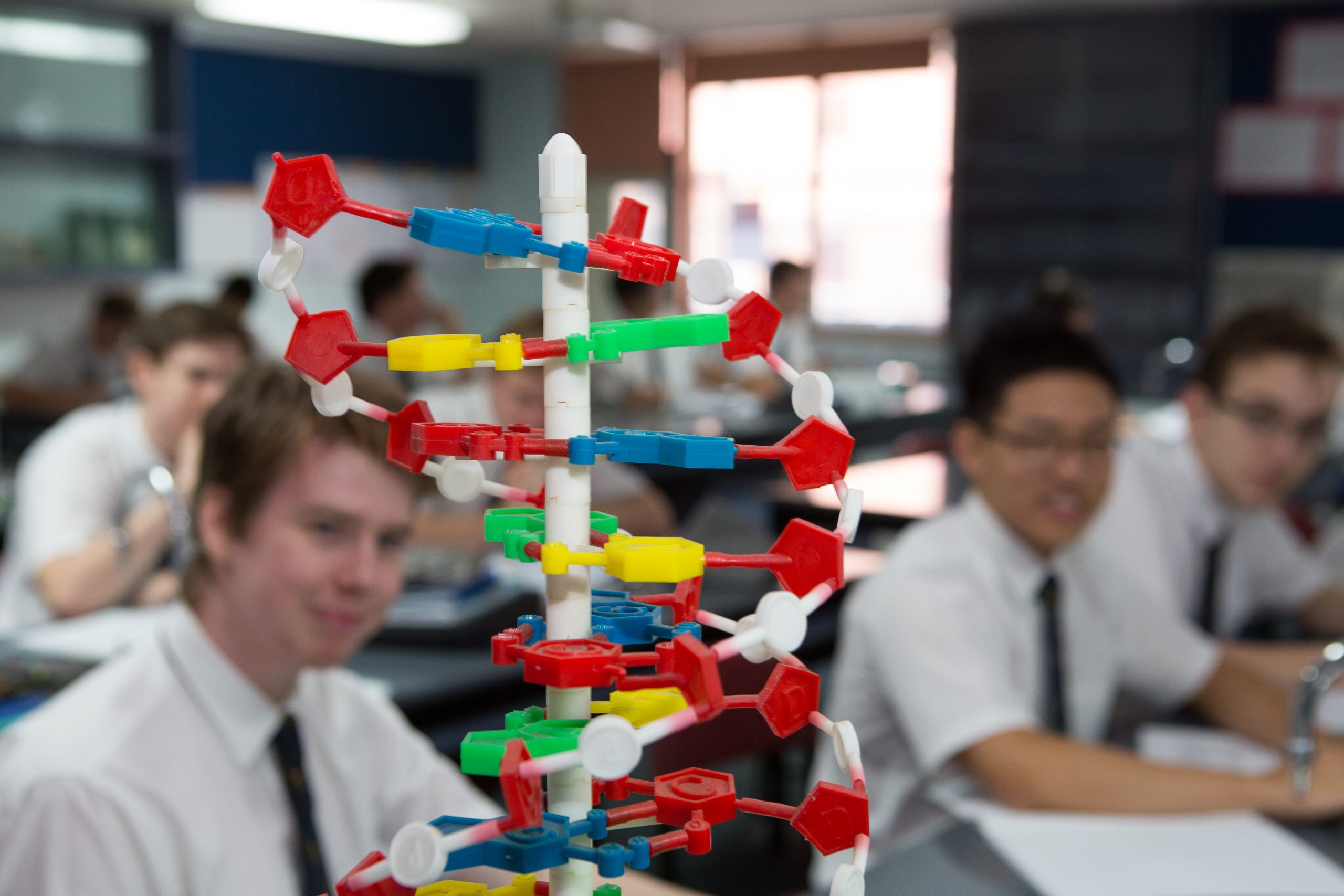 Curriculum - St Pius X College