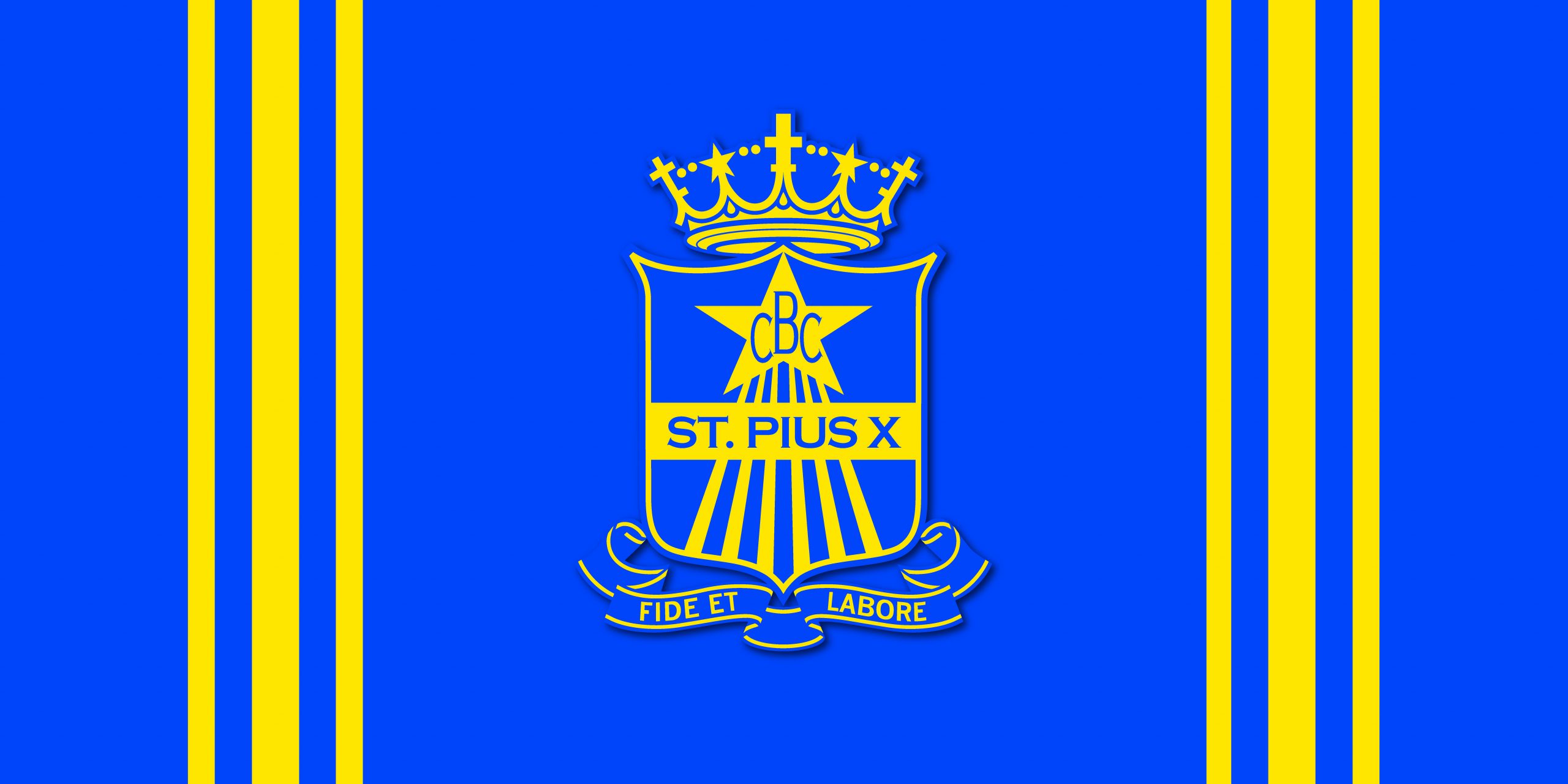 Mission, Vision and Values - St Pius X College