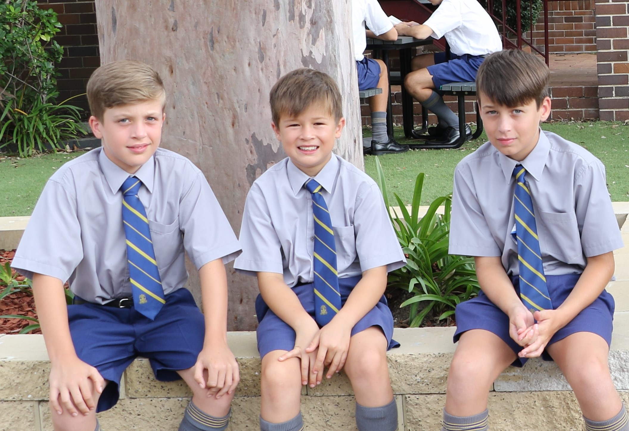 Prospectus - St Pius X College